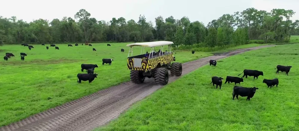 Wild Florida and Showcase of Citrus named amongst best safari parks in ...