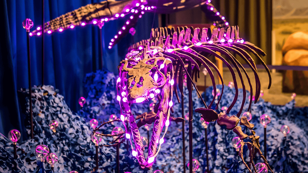 Dinos In Lights roars into Orlando Science Center for the Holidays