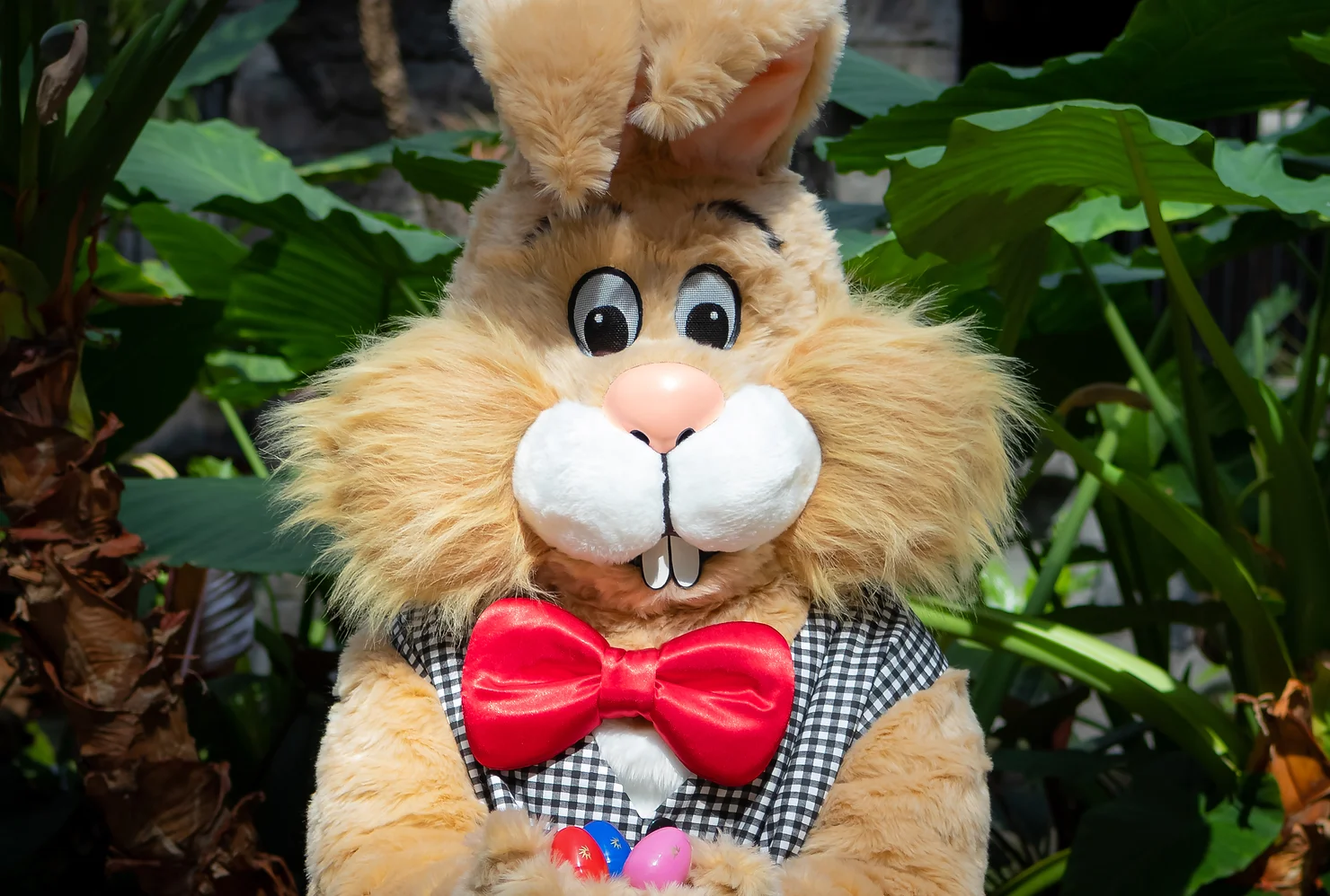Where to meet the Easter Bunny in Orlando