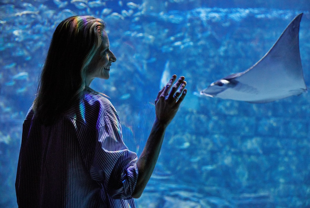 SeaWorld Orlando’s “Inside Look” returns with New Experiences ...
