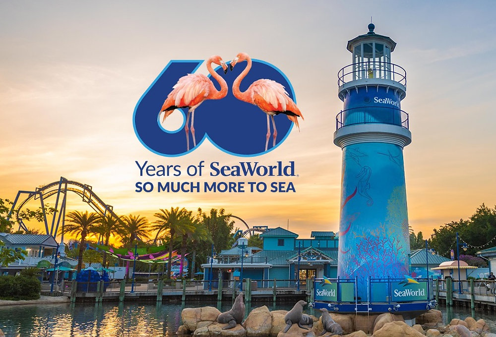 SeaWorld launches 60th Anniversary Celebrations and unveils "There's So ...