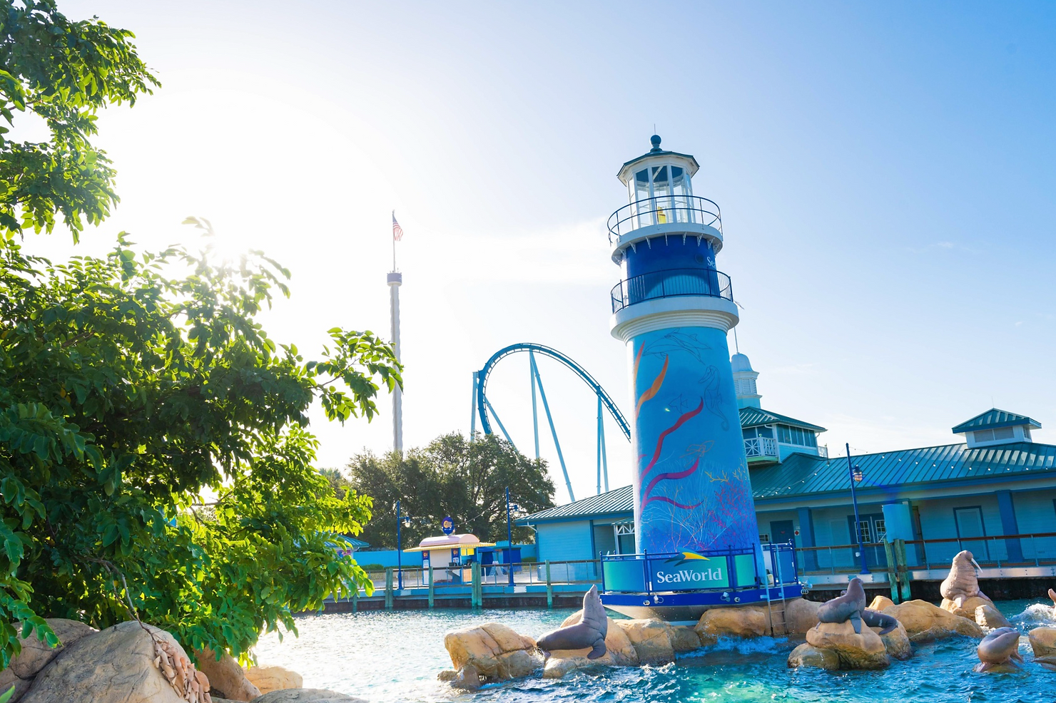 SeaWorld Orlando opens its first and all new Coral Rescue Center to ...
