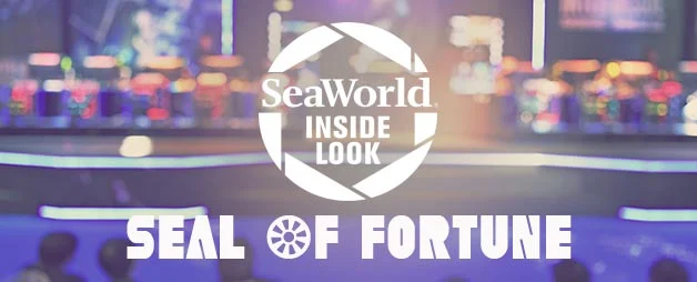 Get An Up Close Look at SeaWorld Orlando During January Inside Look ...