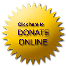 Lion Max Simms Memorial Camp | Bishop's Falls