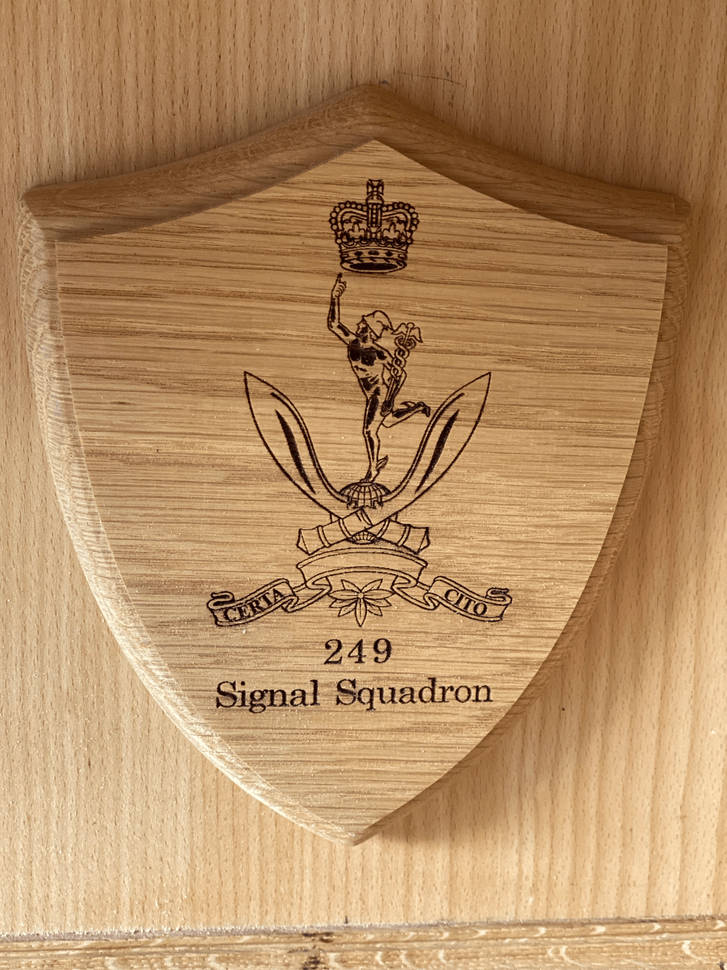 Bespoke Hardwood Customisable Shield – Personalised and Engravable