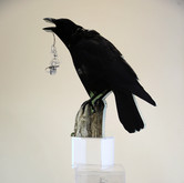 Lisa Segal Art, Artist, Poet, Writer & Teacher | Artwork | Sculptures