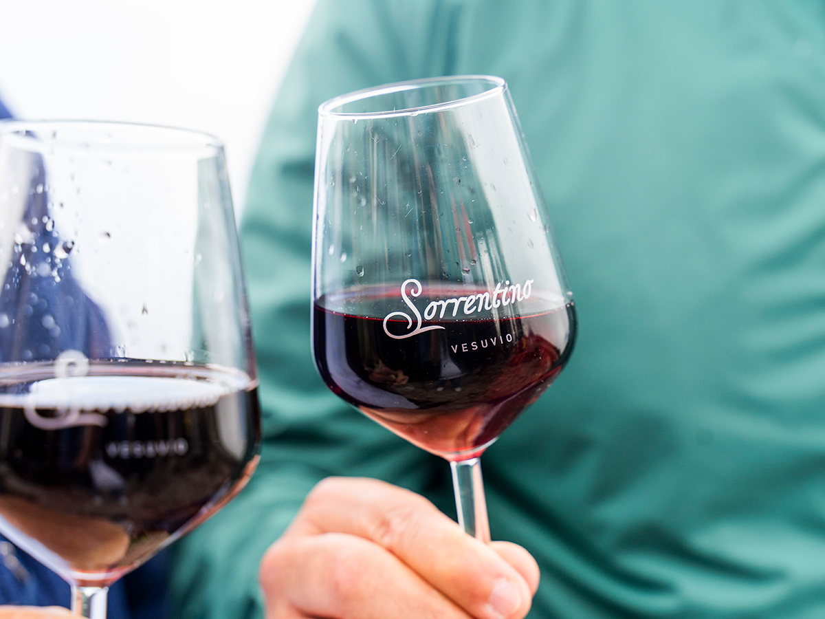 Sorrentino Vini | Linea Classica | Boscotrecase Campania