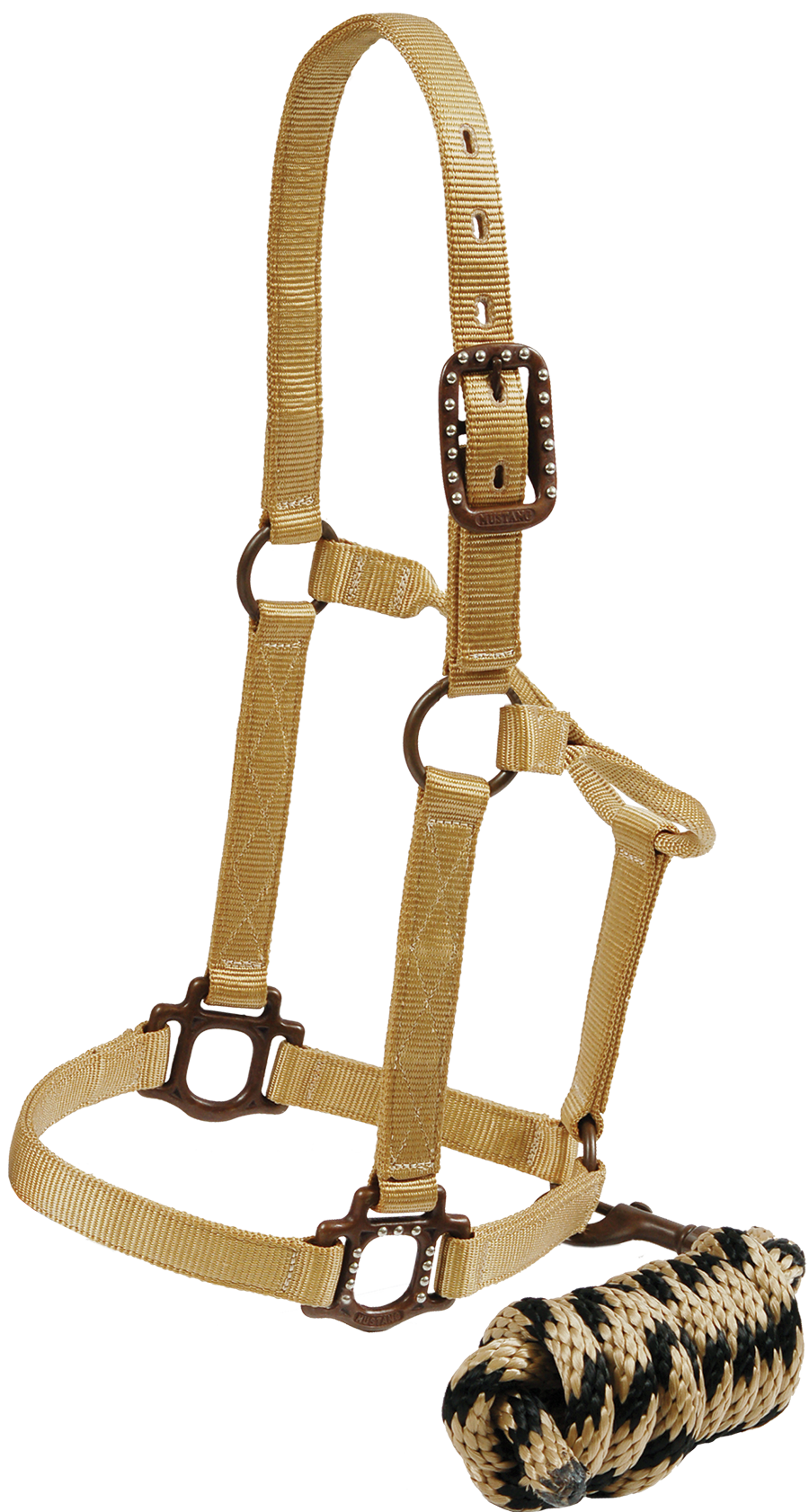 Web Halter with Antique Dot Hardware | Mysite