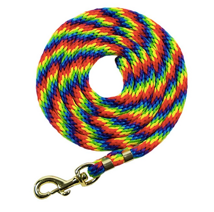 9' Rainbow Poly Lead Rope with Snap | Mysite
