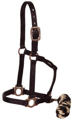 Web Halter with Antique Dot Hardware | Mysite