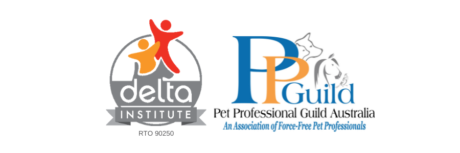 Collaboration between Delta Institute and Pet Professional Guild Australia.