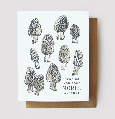 Morel Support Card | Mason Gallery