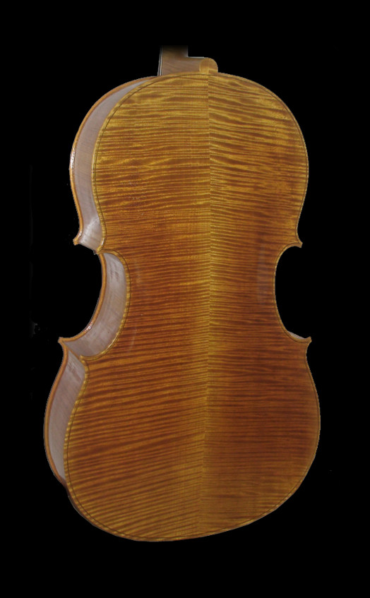 cello-back.png