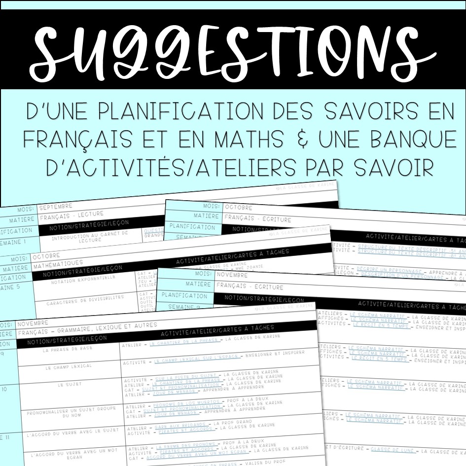 Planification annuelle pour le 3e cycle