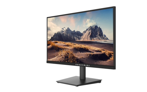 Rogueware W2213SG 21.5" 100hz Freesync Full HD 1080P Gaming Monitor
