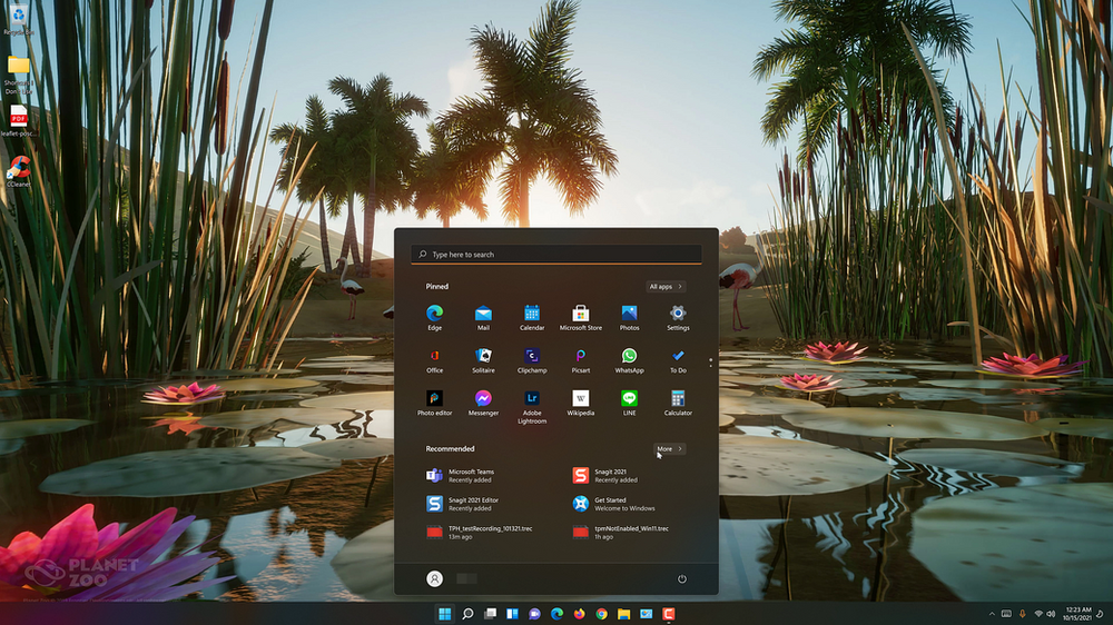 Manual Windows 11 OS Download and Installation