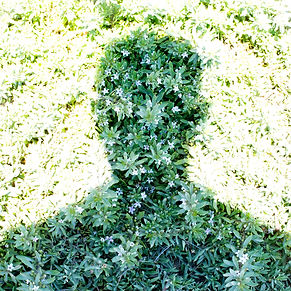 Abstract Art | Ryan Bush Photography