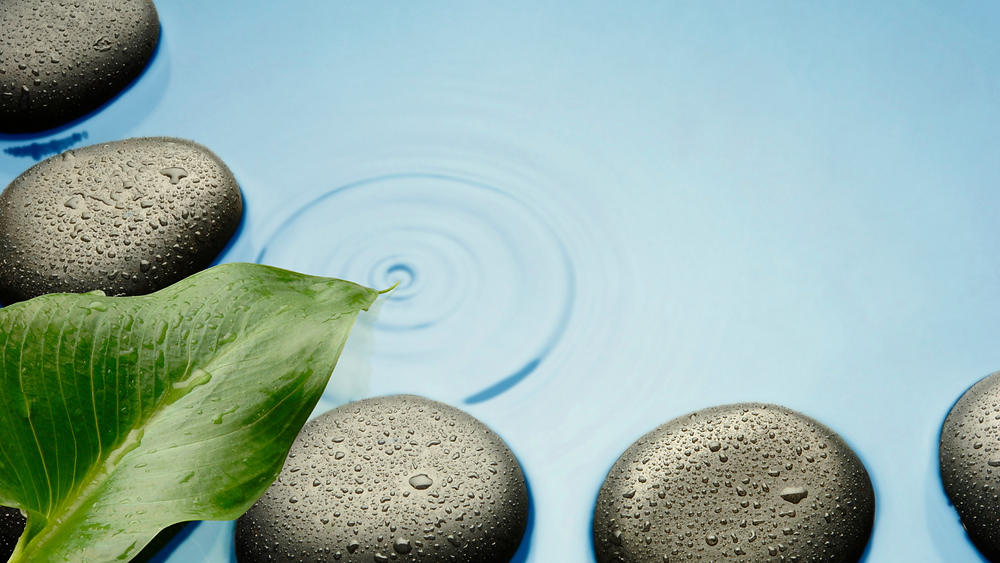 AmiSight 4/18: You Can’t Bite Water: Understanding Before Acting AmiSight 4/18: You Can’t Bite Water: Understanding Before Acting