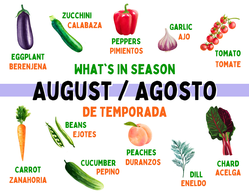 What's in Season - August