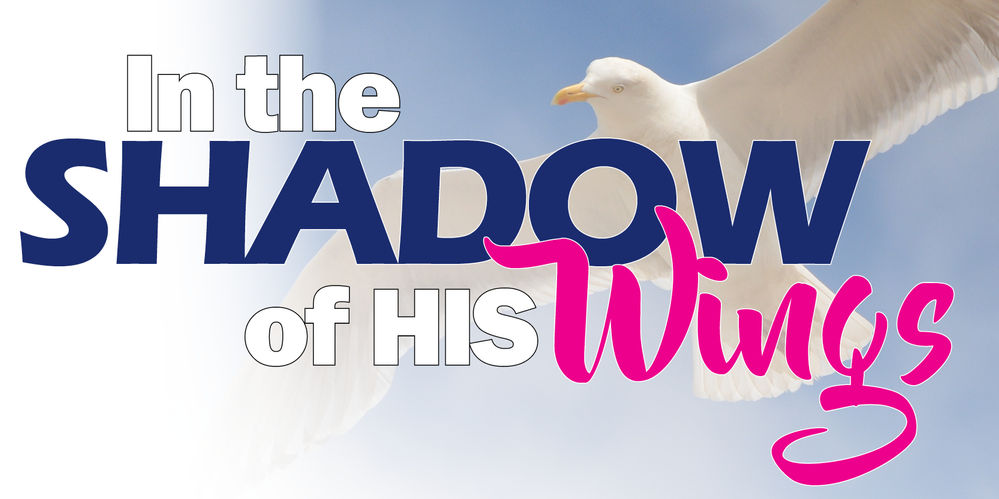 In the Shadow of His Wings