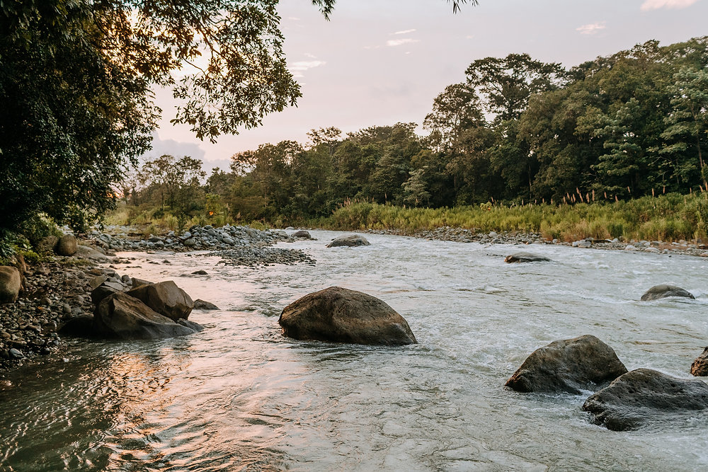 10 Best Ayahuasca Retreats in Costa Rica for Spiritual Healing 2025