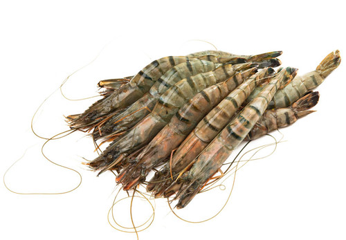 Jumbo Raw Shell on Tiger Prawn | Neptune's Table