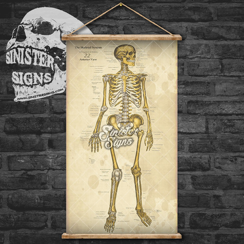 Anterior View Of The Skeletal System Wall Hanging | Sinister Signs