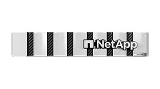 NetApp AFF C250 | SouthData Oficial