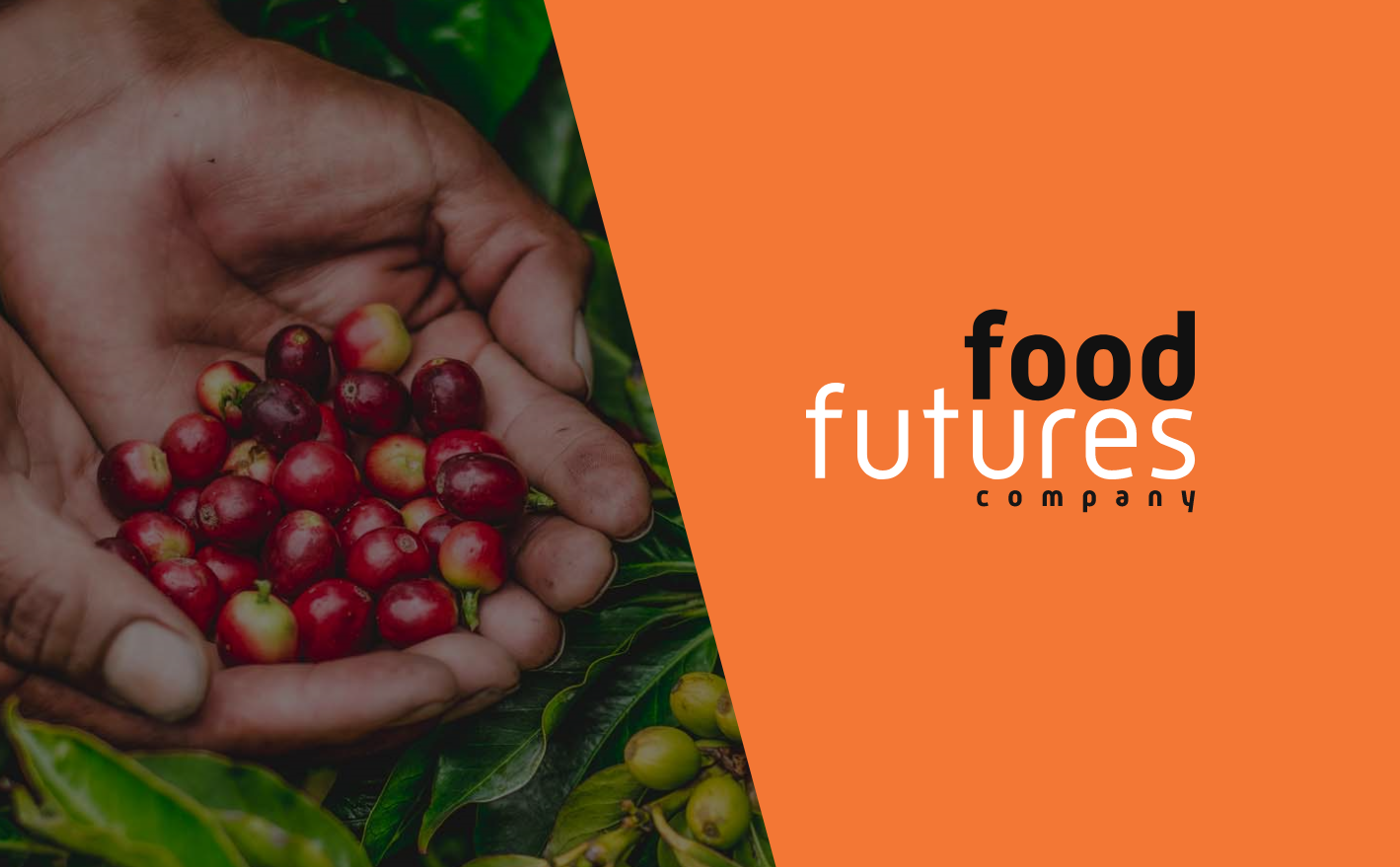 Food Futures Company | Agrifood systems transformation