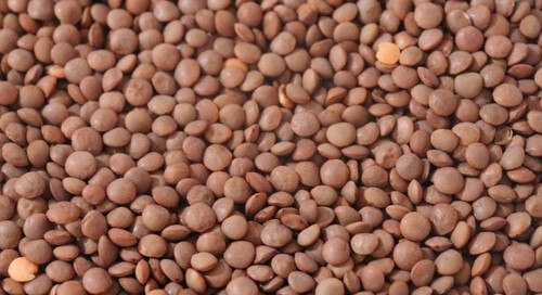 How do I cook red lentils? : r/cookingforbeginners