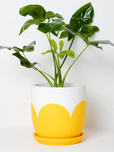 Flower | Pow Pots