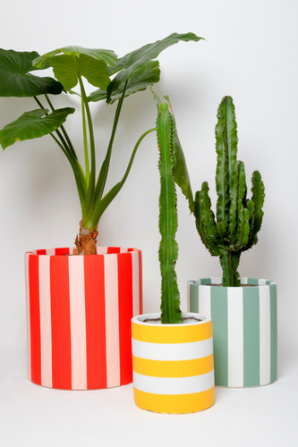 Stripes | Pow Pots