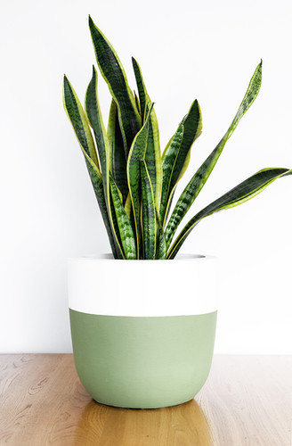 POW POTS | Half Full Unique Plant Pot