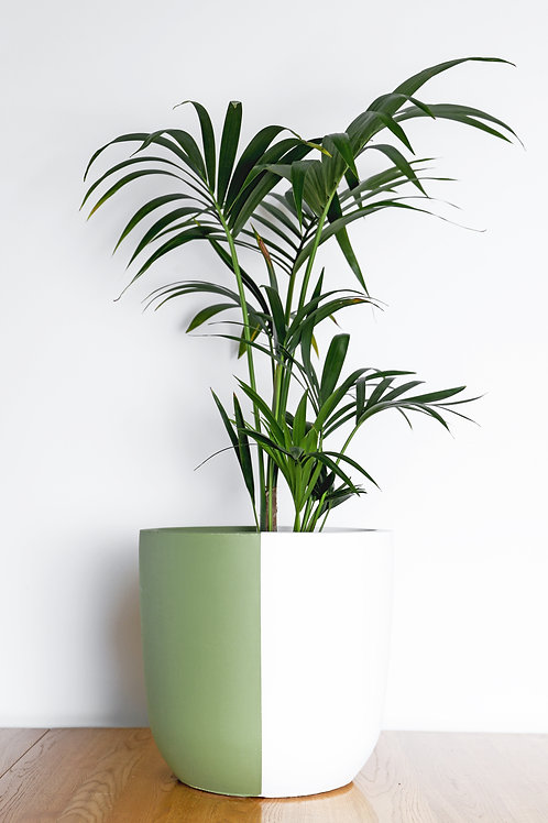 POW POTS | Half and Half contemporary plant pot