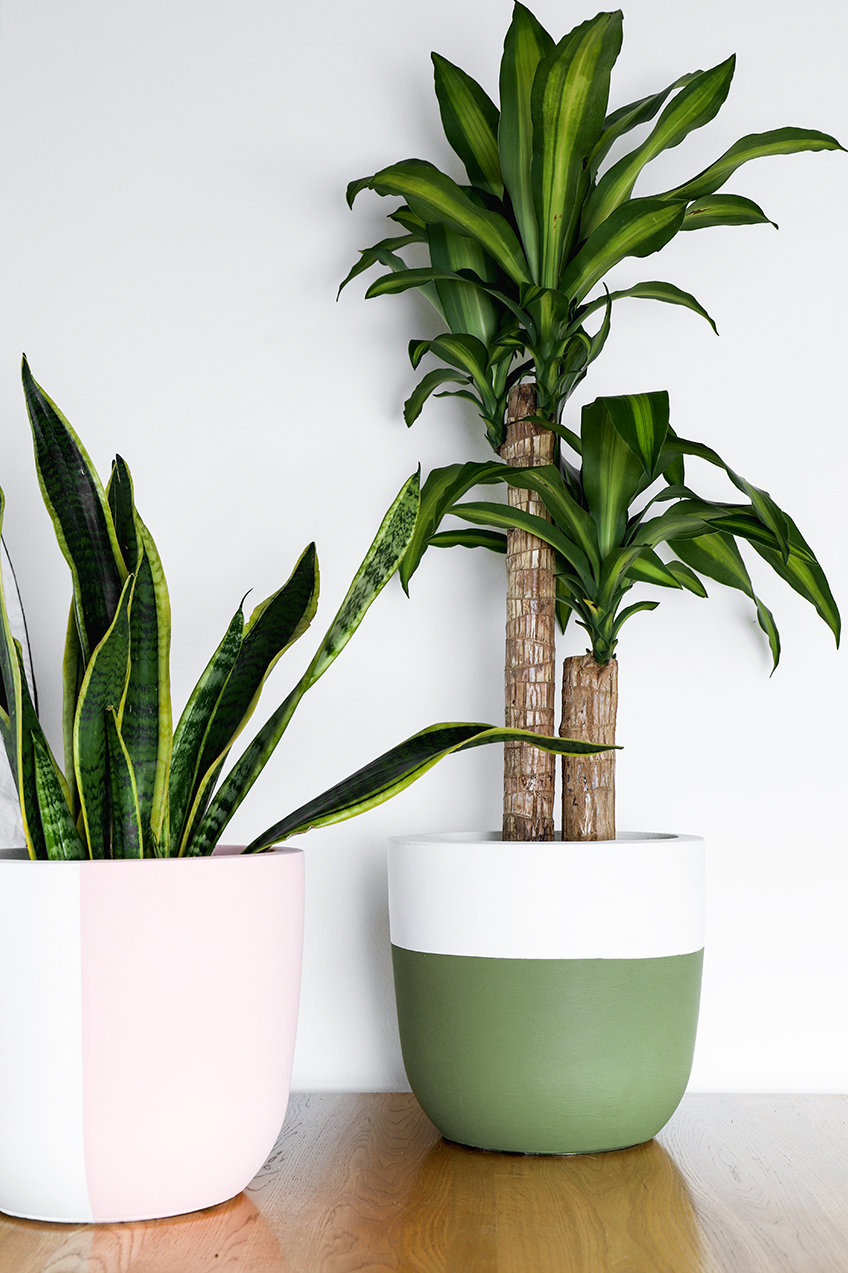 POW POTS | Half Full Unique Plant Pot