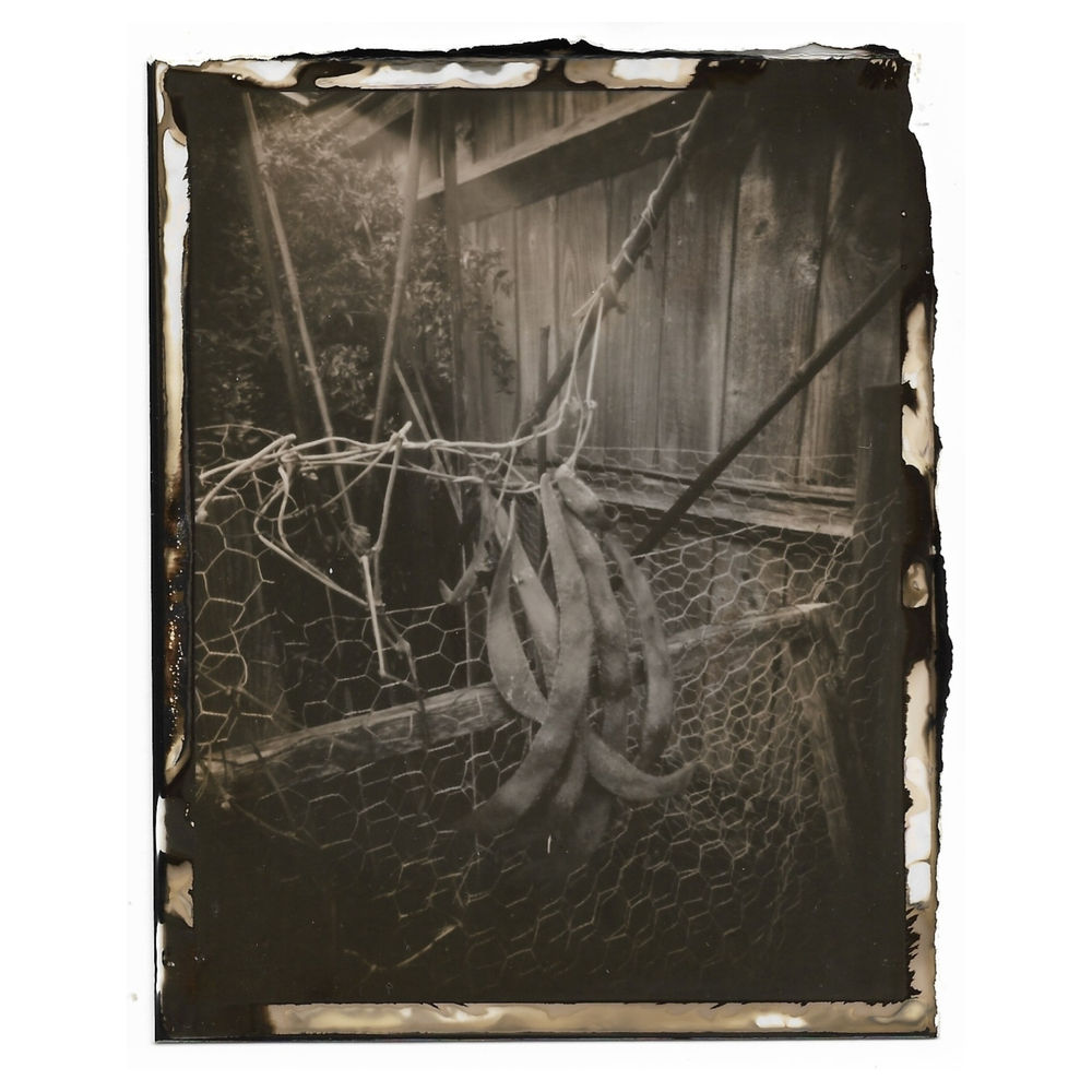 BW reversal 100% within the Pinsta | Pinsta Camera