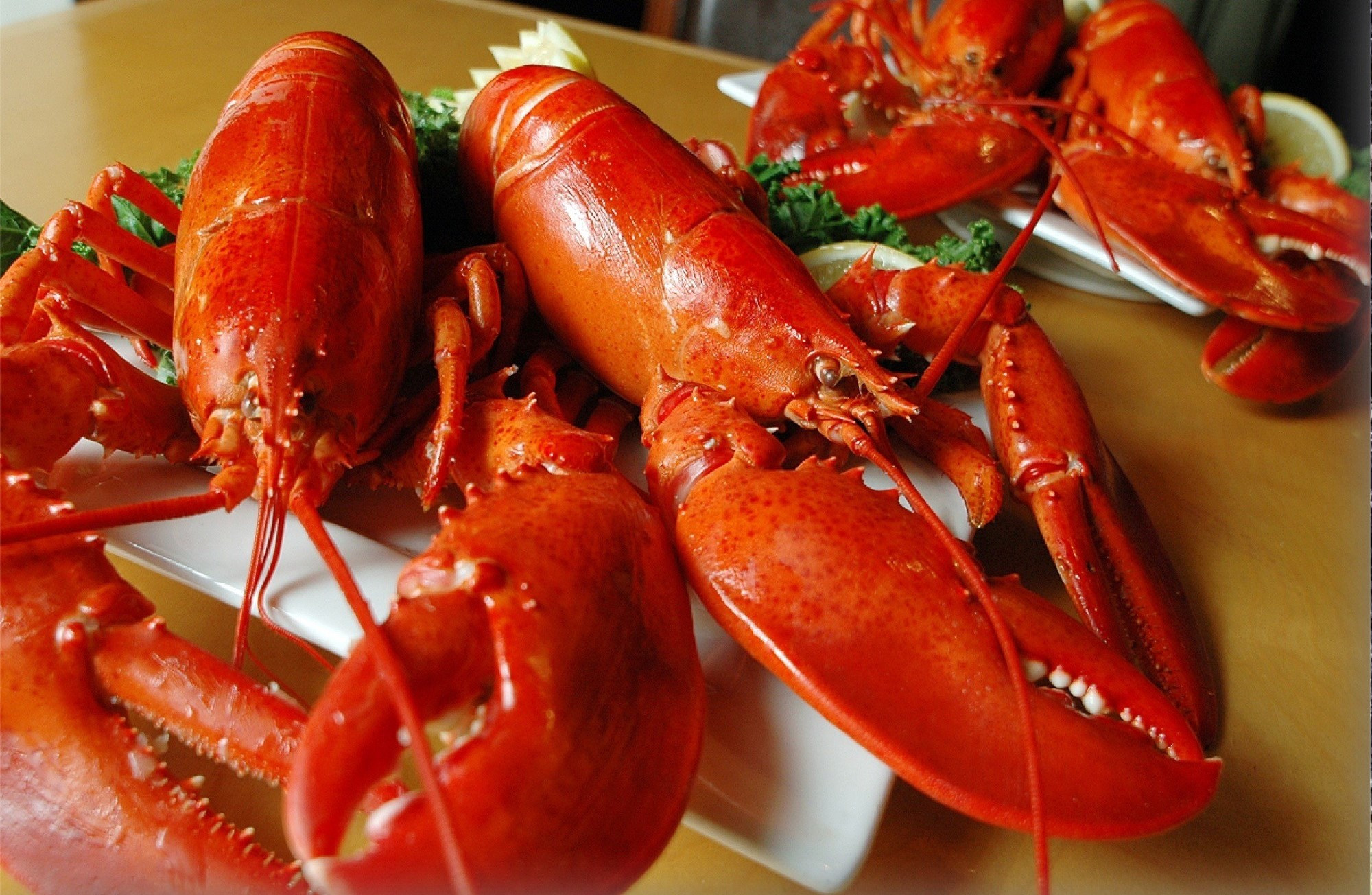 File #1108 - Lobster