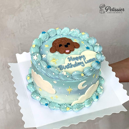 Starry Skies Design Theme Pet Cake Petissier Sg