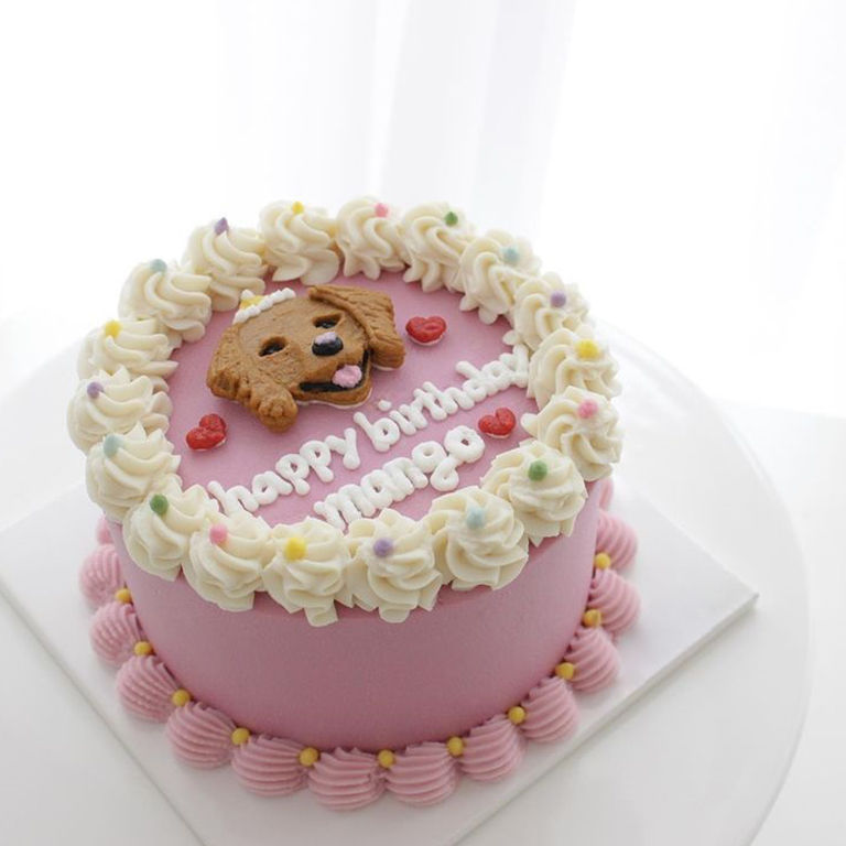 SHOP | Pet Cakes | Petissier SG