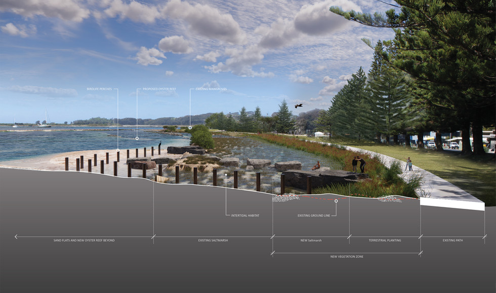 Wagonga Inlet | REALMstudios