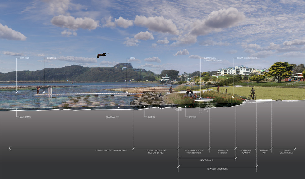 Wagonga Inlet | REALMstudios