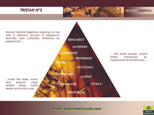 TRISTAN NO.2 | Natchem