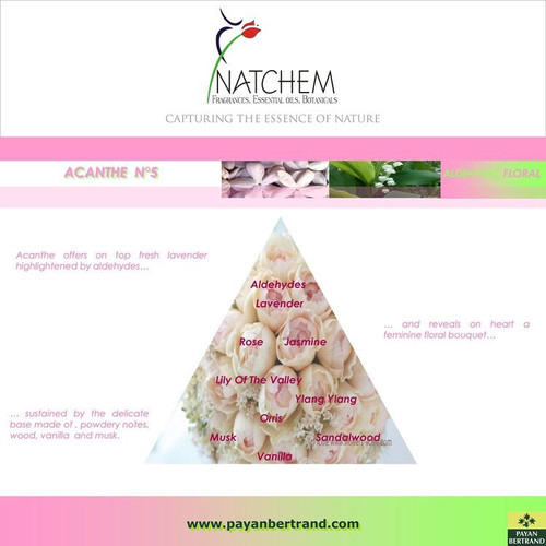 ACANTHE NO.5 | Natchem