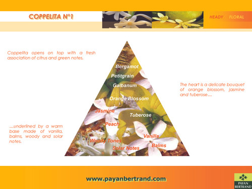 COPPELITA NO. 1 | Natchem