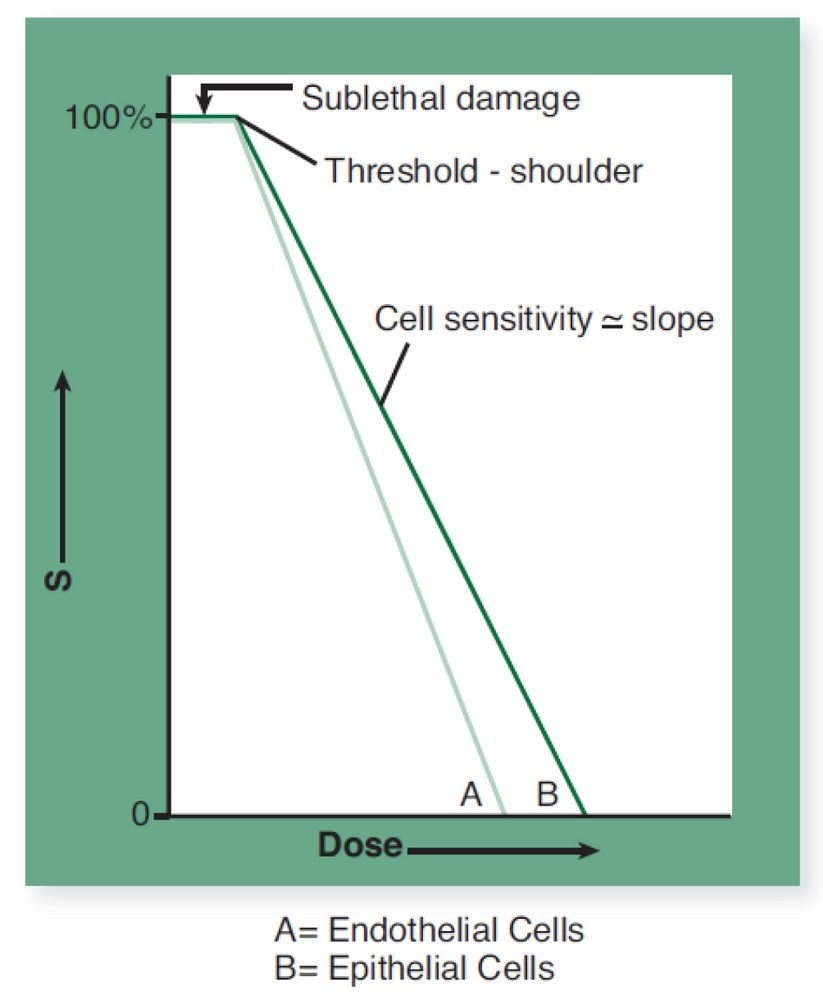 HSC1103 - Radiobiology & Radiation Protection - Cell Survival Curves ...
