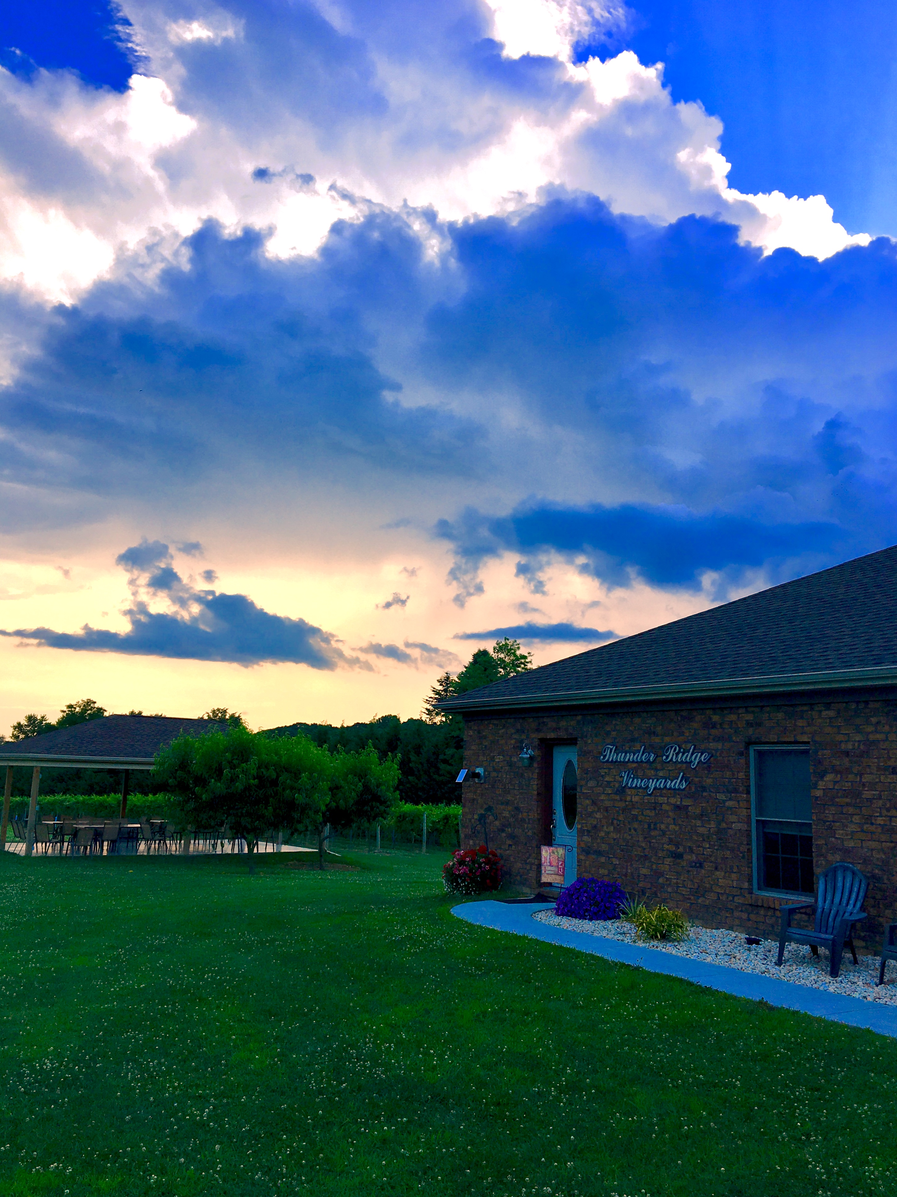 Thunder Ridge Vineyards