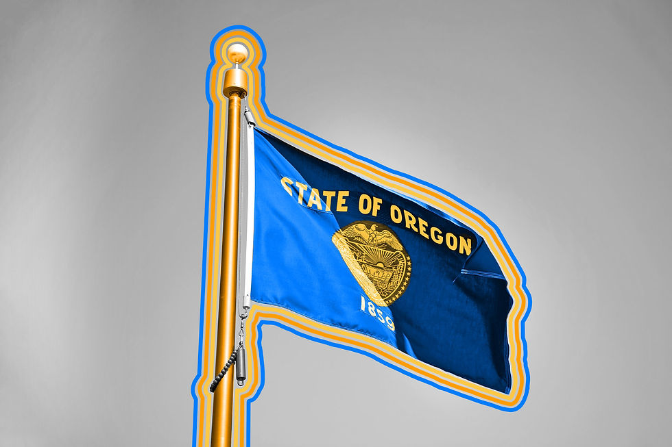 What's the only state flag with a double-sided design?