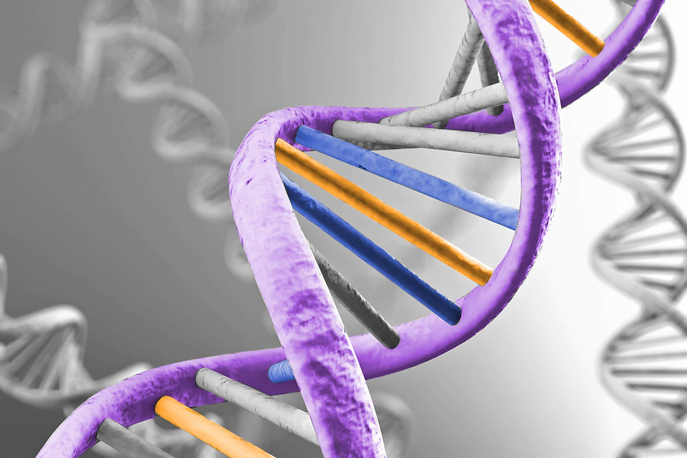 6 Amazing Facts About DNA