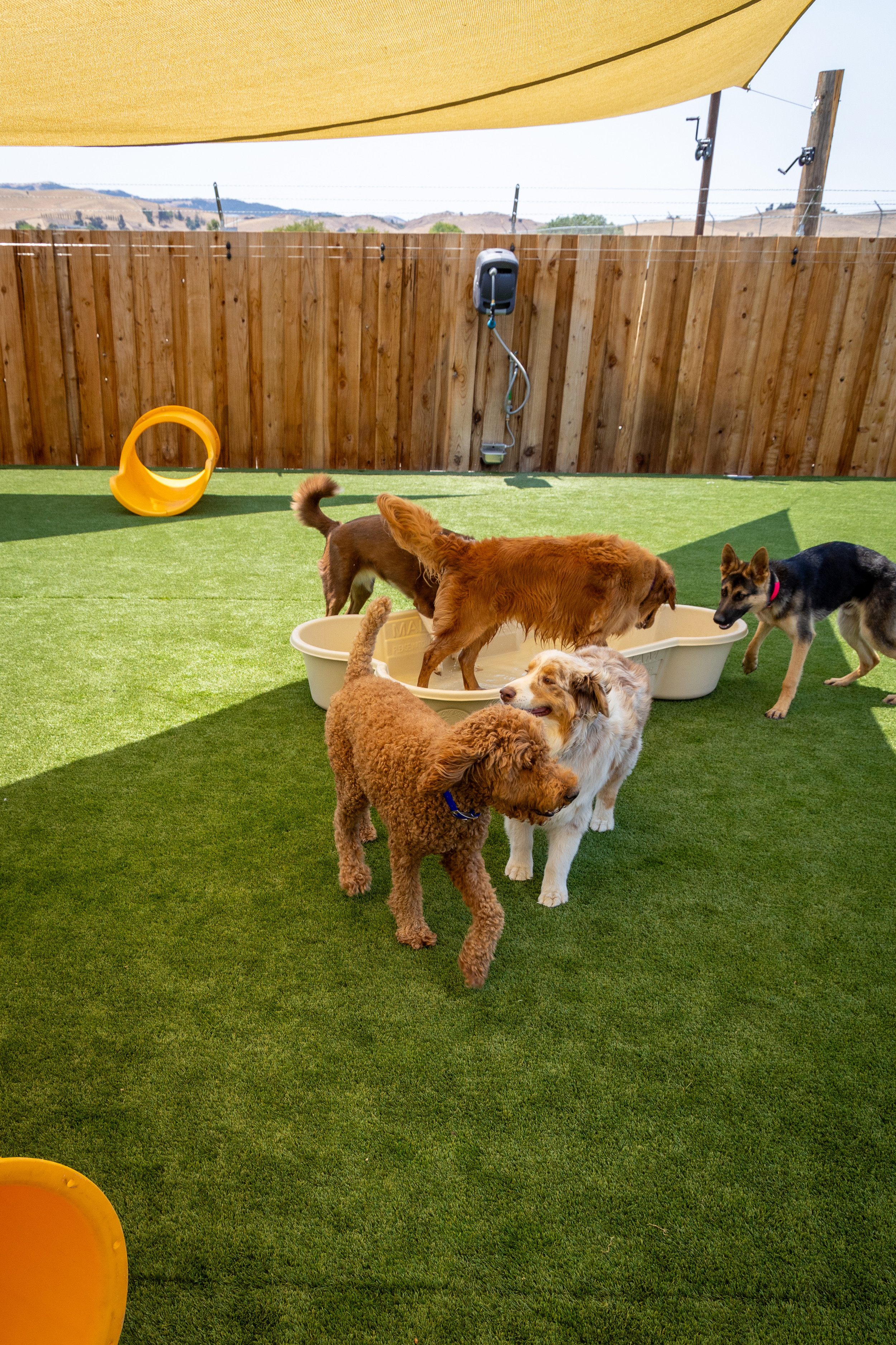 Existing Client Login | Parkland Pet Resort
