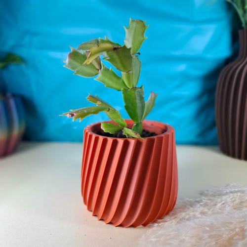 Corbel Plant Pot | Katapult Gifts